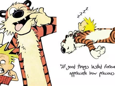 11 life lessons we learned from calvin and hobbes