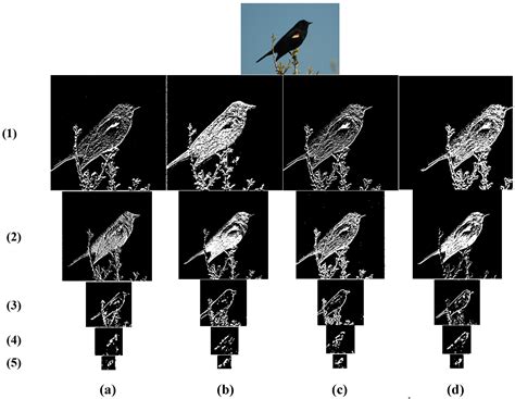Multi Scale Feature Fusion Of Covariance Pooling Networks For Fine Grained Visual Recognition