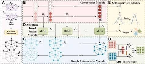 Singlecellgenomics Bioinformatics Ai Rnasequencing Datascience Clustering Machinelearning