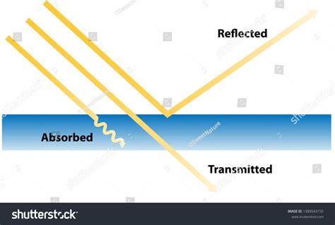 How Light Works Properties Light Reflection Stock Vector Royalty Free
