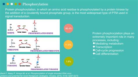 Brief Introduction Of Post Translational Modifications PTMs PPT
