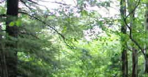 Macroblocking Example Album On Imgur