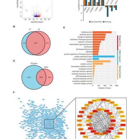 Figure E Analysis Of Rna Seq Data A Classification Of Lncrnas And Download Scientific
