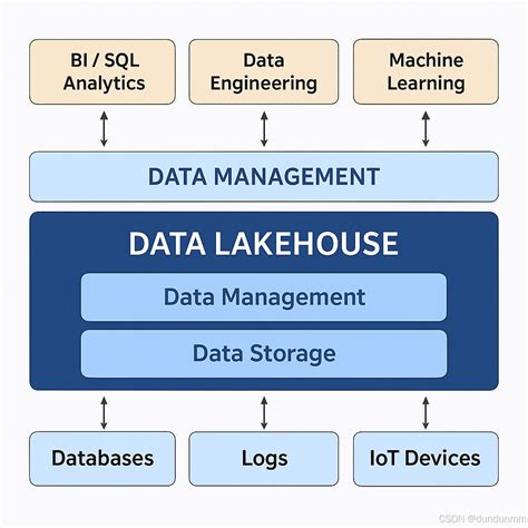 【每天一个知识点】湖仓一体（data Lakehouse） Csdn博客