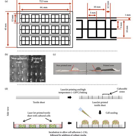 Textile Based Devices For Cell Culture Applications A Design