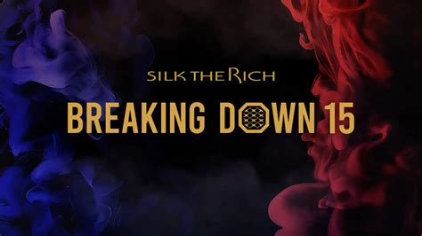 Breakingdown（ブレイキングダウン）ファンサイト Bdfan