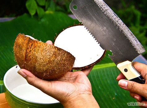 How To Open A Coconut 3 Simple Methods Open A Coconut Coconut Fun