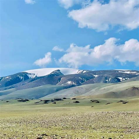 Алтайг Дэмжигчид Улсын хошой аварга малчин Улсын аварга малчин Улсын аварга тариаланч Алтан