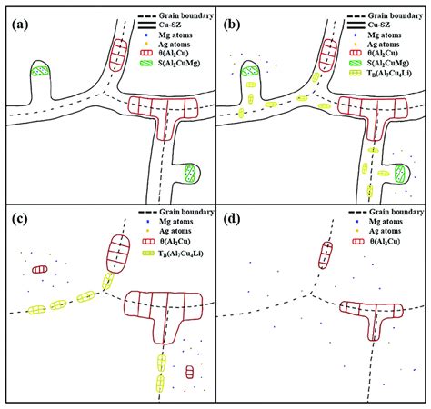 Schematic Diagram Of Microstructural Evolution During Homogenization Download Scientific