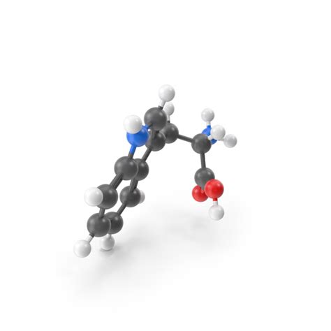 Tryptophan Molecule Png Images And Psds For Download Pixelsquid