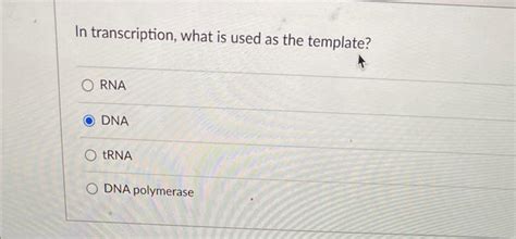 Solved In Transcription What Is Used As The Template RNA Chegg Com