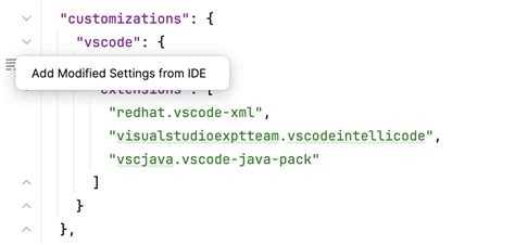 Customizing Various Dev Container Settings Intellij Idea Documentation