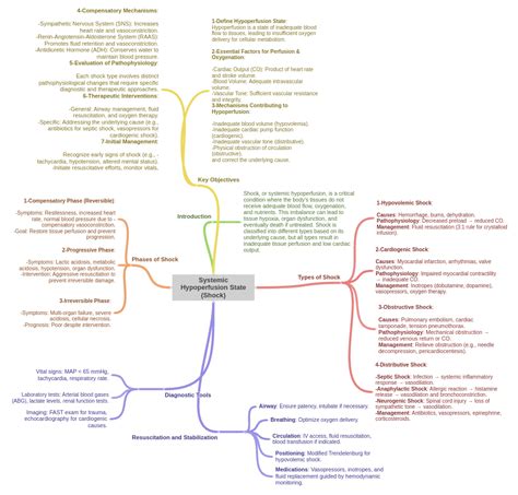 Systemic Hypoperfusion State Shock Coggle Diagram