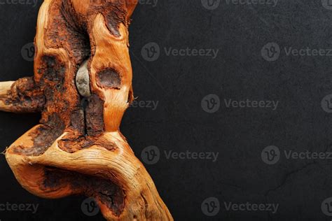Textured Curved Wooden Snag Of Brown Color With Texture On A Black Background With Free Space