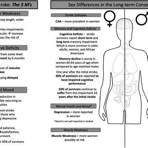 Long Term Stroke Consequences Download Scientific Diagram