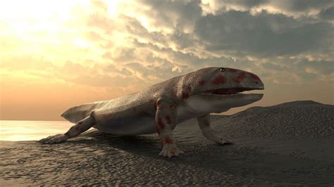 15 Facts About Devonian