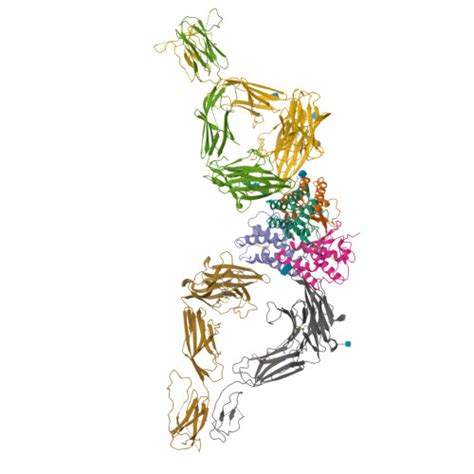 Rcsb Pdb 7qdp Crystal Structure Of Flt3 T343i In Complex With The