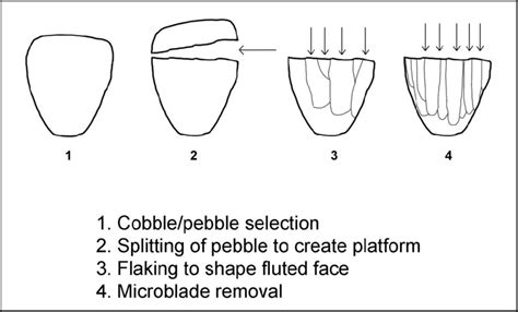 3 System A Of Microcore Reduction Download High Resolution Scientific Diagram