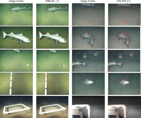 Few Frames And Corresponding Objects Shape Extracted Using Saliency