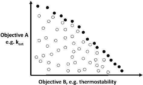 A Two Objective Optimisation Problem Illustrating The Non Dominated Or