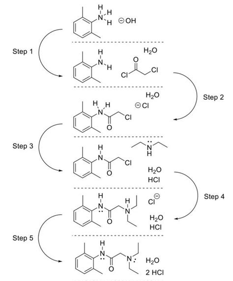 Solved Lidocaine Is Normally Used As A Local Anesthetic One