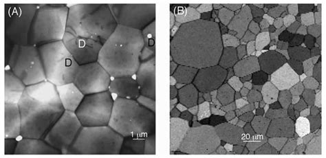 Microstructures Of The Most Fine Grained Figure 1a And The Most