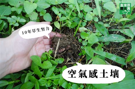 直接跟農夫買 土壤跟頭髮一樣，都需要美好的空氣感。