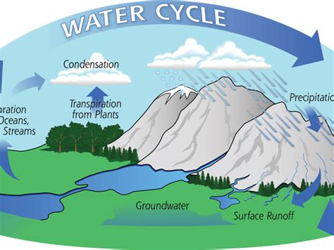 The Water Cycle Teaching Resources