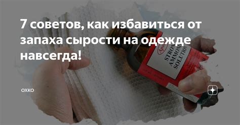 7 советов как избавиться от запаха сырости на одежде навсегда Дзен