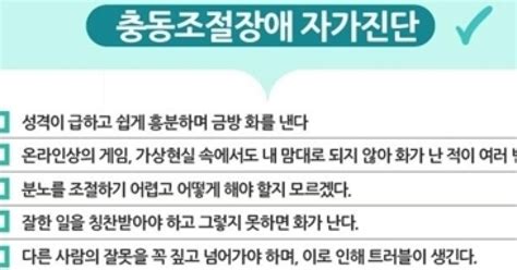 혹시 나도 분노조절장애자가진단 체크리스트로 확인 가능