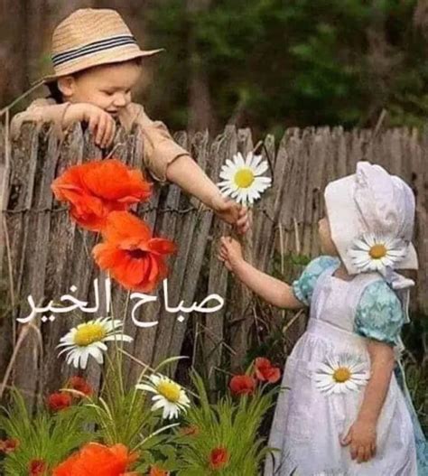 Pin On صباح الخير يا عرب