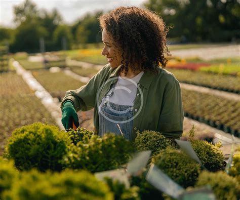 Hedge Pruning Art Deco By Maëlle Et Sasha Desplanques