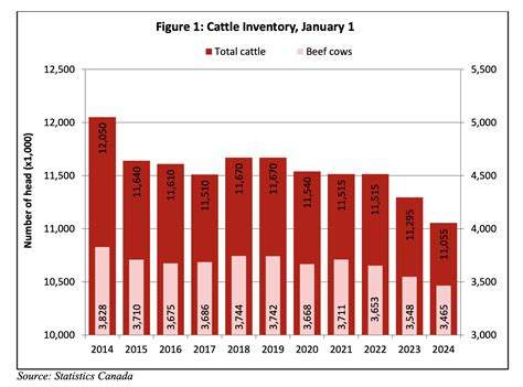 Canadian Cattle Herd Continues Decline The Cattle Site