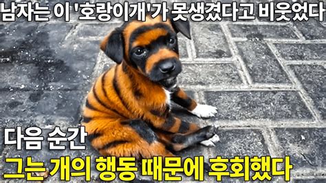 남자는 호랑이 닮은 강아지가 이상하게 생겼다고 비웃고 다음 순간 강아지의 행동은 그를 후회하게 만든다 Youtube