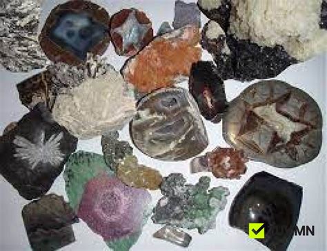 Чухал ашигт малтмалыг чухалчлахын учир