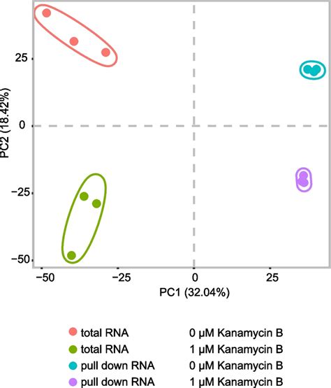 principal component analysis of the rna seq data the small icon