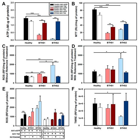 Mitochondrial Function Assays Following Aav Taz Treatment A Atp