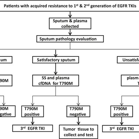Flowchart Of Study Design Tumor Samples Biopsy Or Non‐sputum
