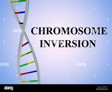 3d Illustration Of Chromosome Inversion Script With Dna Double Helix Isolated On Colored