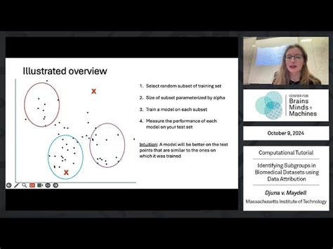 Free Video Identifying Subgroups In Biomedical Datasets Using Data Attribution From Mitcbmm