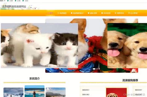 springboot vue社区流浪动物猫狗救助救援网站 a i 基于springboot vue的流浪猫救助 CSDN博客