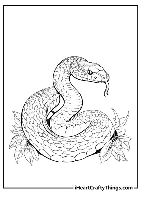 Coloring Picture Of Snake Viper Snake Coloring Pages At