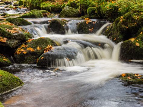 Ohe Bilder – Durchsuchen 525 Archivfotos, Vektorgrafiken und Videos ...