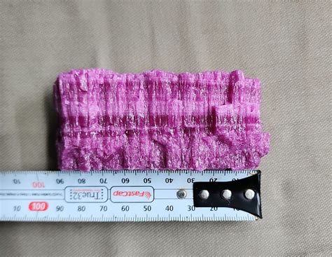 Myanmar Ruby Raw Living Aquarium