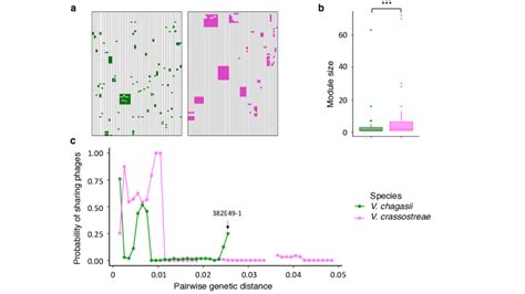 Modularity Is Driven By Phylogenetic Distances Within Host Population Download Scientific