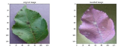 Figure 4 From A New Approach For Leaf Disease Detection Using Multilayered Convolutional Neural