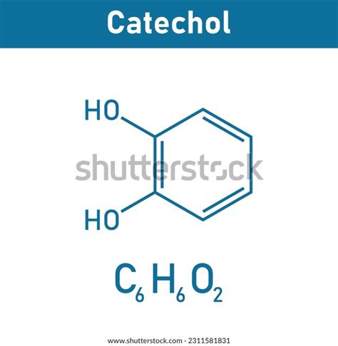 Chemical Structure Catechol C6h6o2 Chemical Resources Stock Vector Royalty Free 2311581831