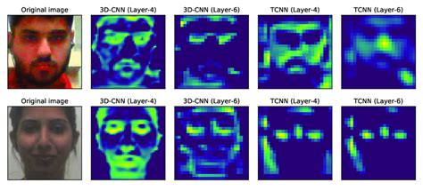 Analysis Of Activity Of Internal Layers Of Tcnn And 3d Cnn Models