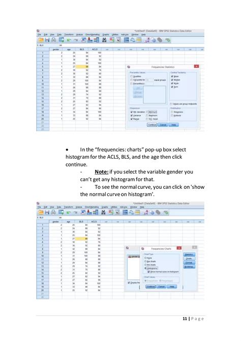 Descriptive Statistics Spss Docx