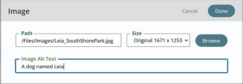 rotate an image using titan cms image editor